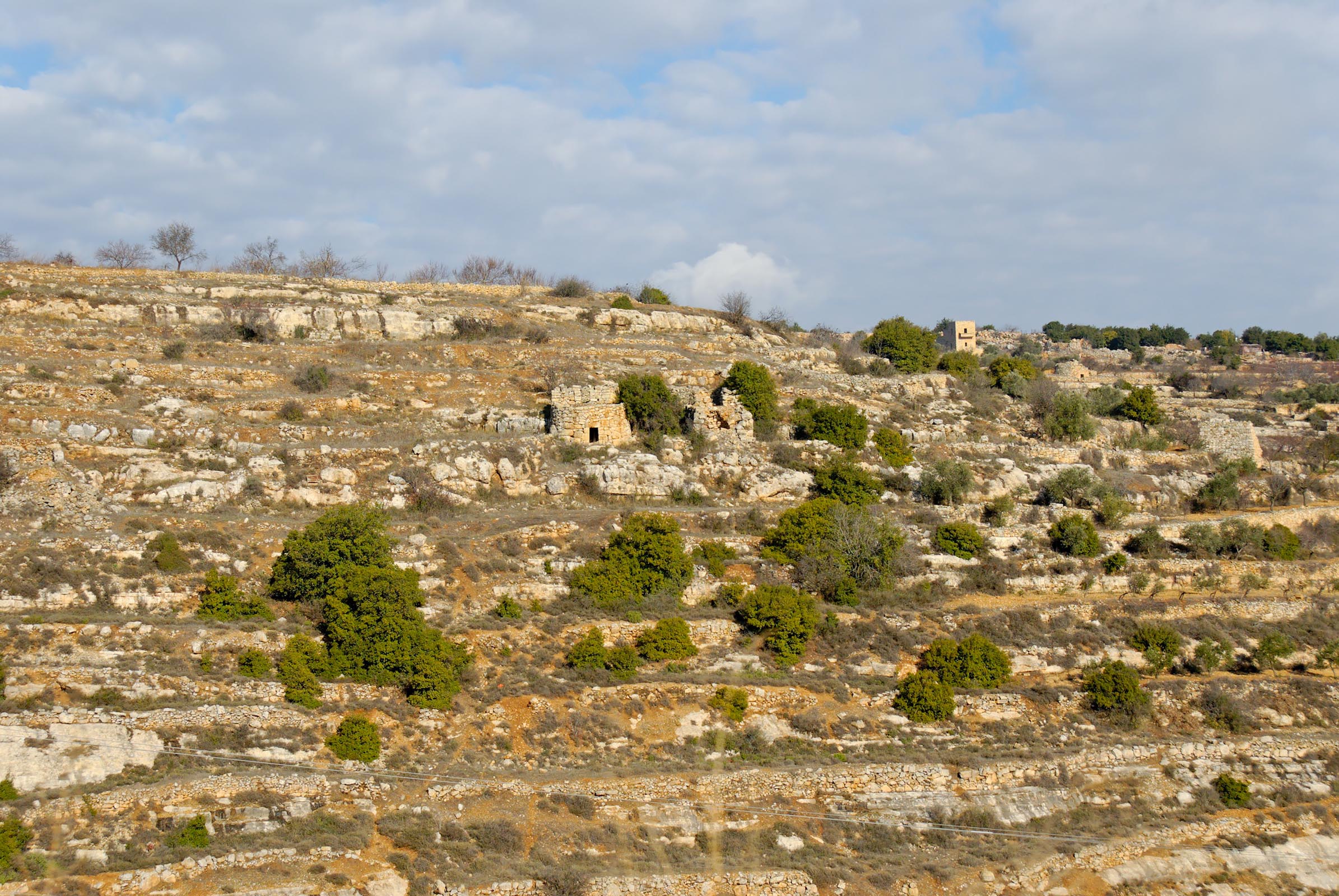 Not Your Ordinary Shepherds, These Guys Were Special – Tours to the ...