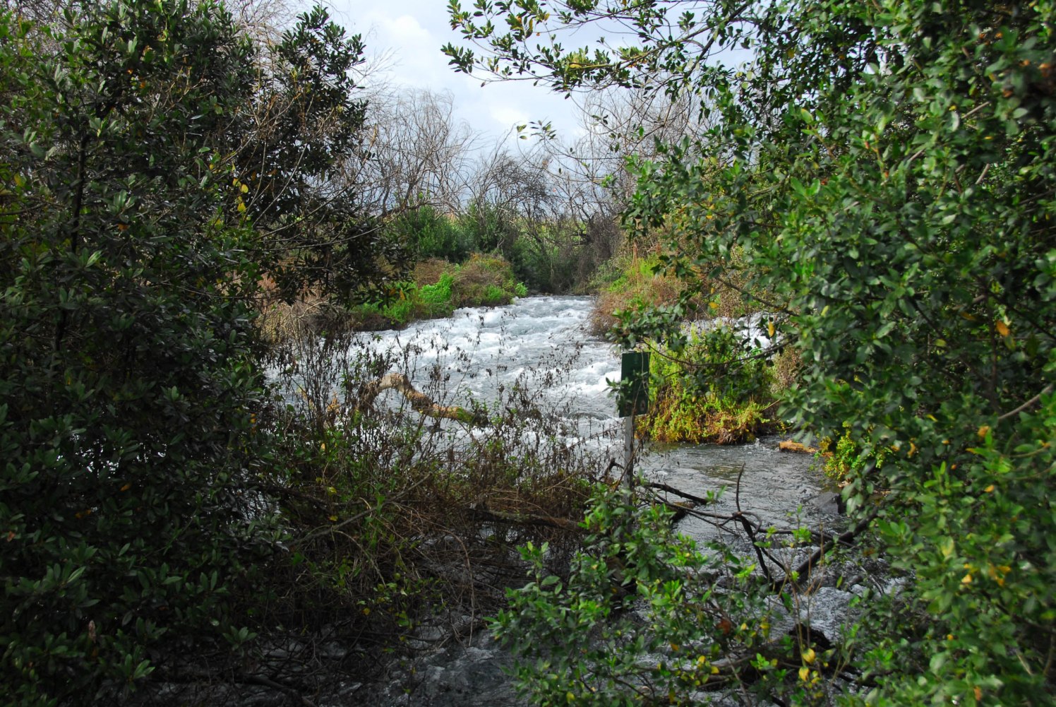 The Jordan River…. That Peaceful, Easy Feeling – Tours to the Holy Land