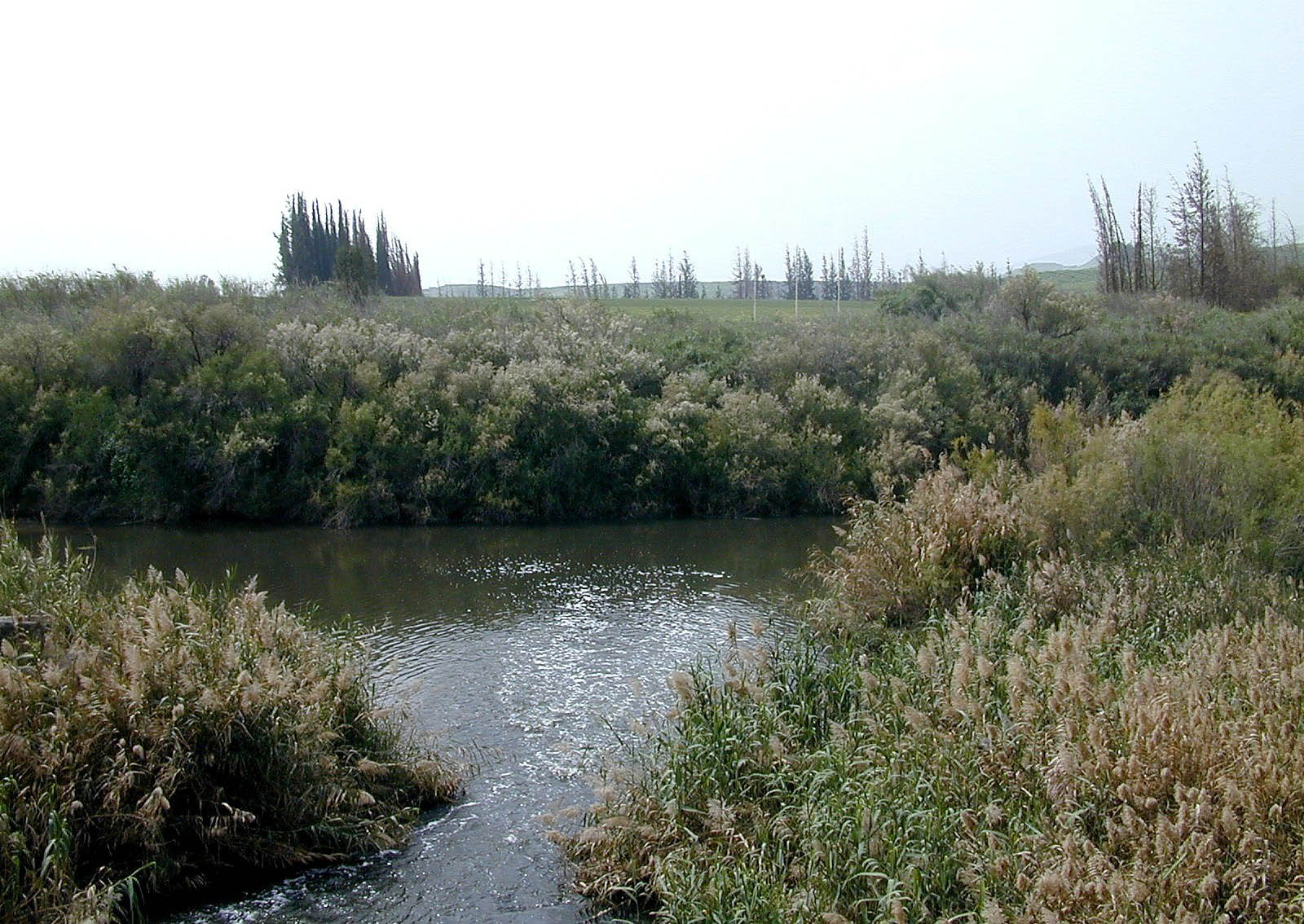 The Jordan River…. That Peaceful, Easy Feeling – Tours to the Holy Land