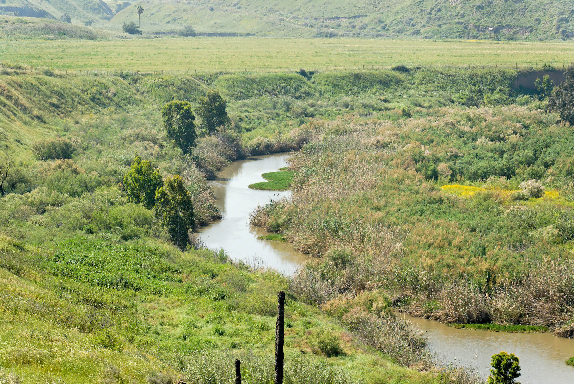 The Jordan River…. That Peaceful, Easy Feeling – Tours to the Holy Land