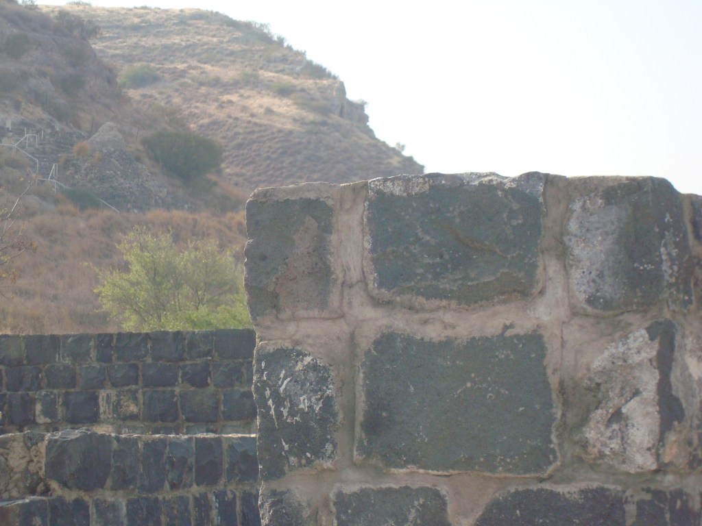 A “Legion”dary Mission To Kursi, Pigs or People – Tours to the Holy Land