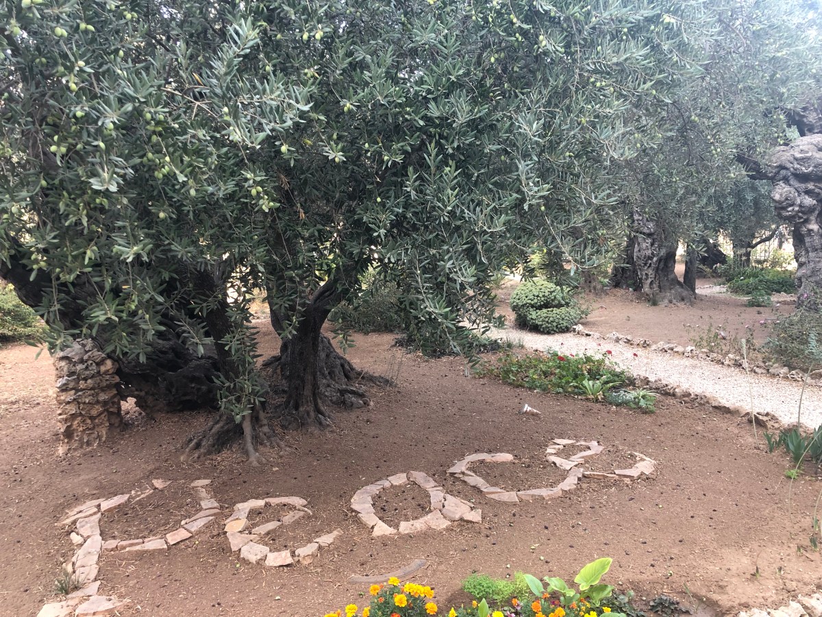 Love The Giver More Than The Gift – Tours to the Holy Land